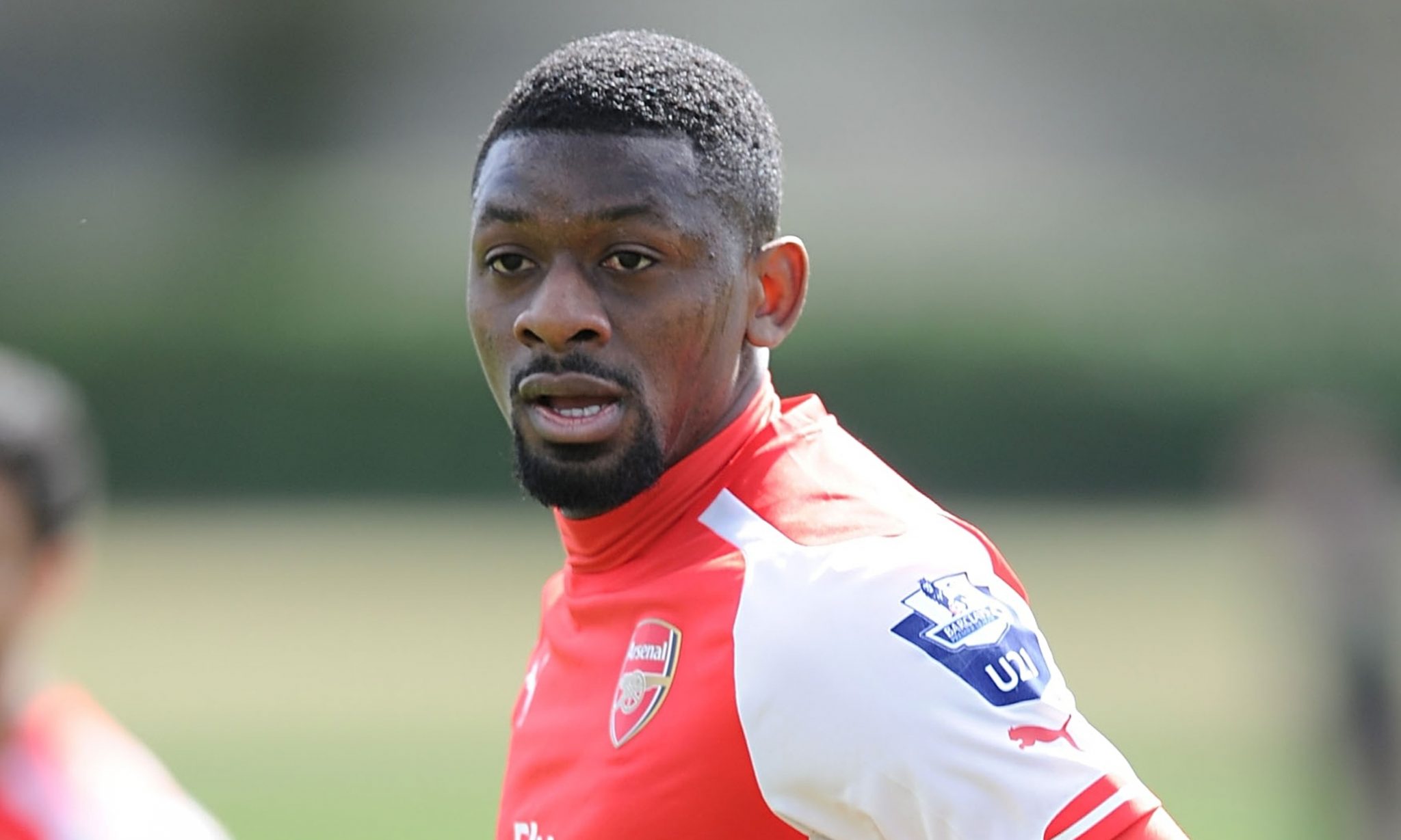 Abou Diaby Profile, Ethnicity, Race, Career and Nationality